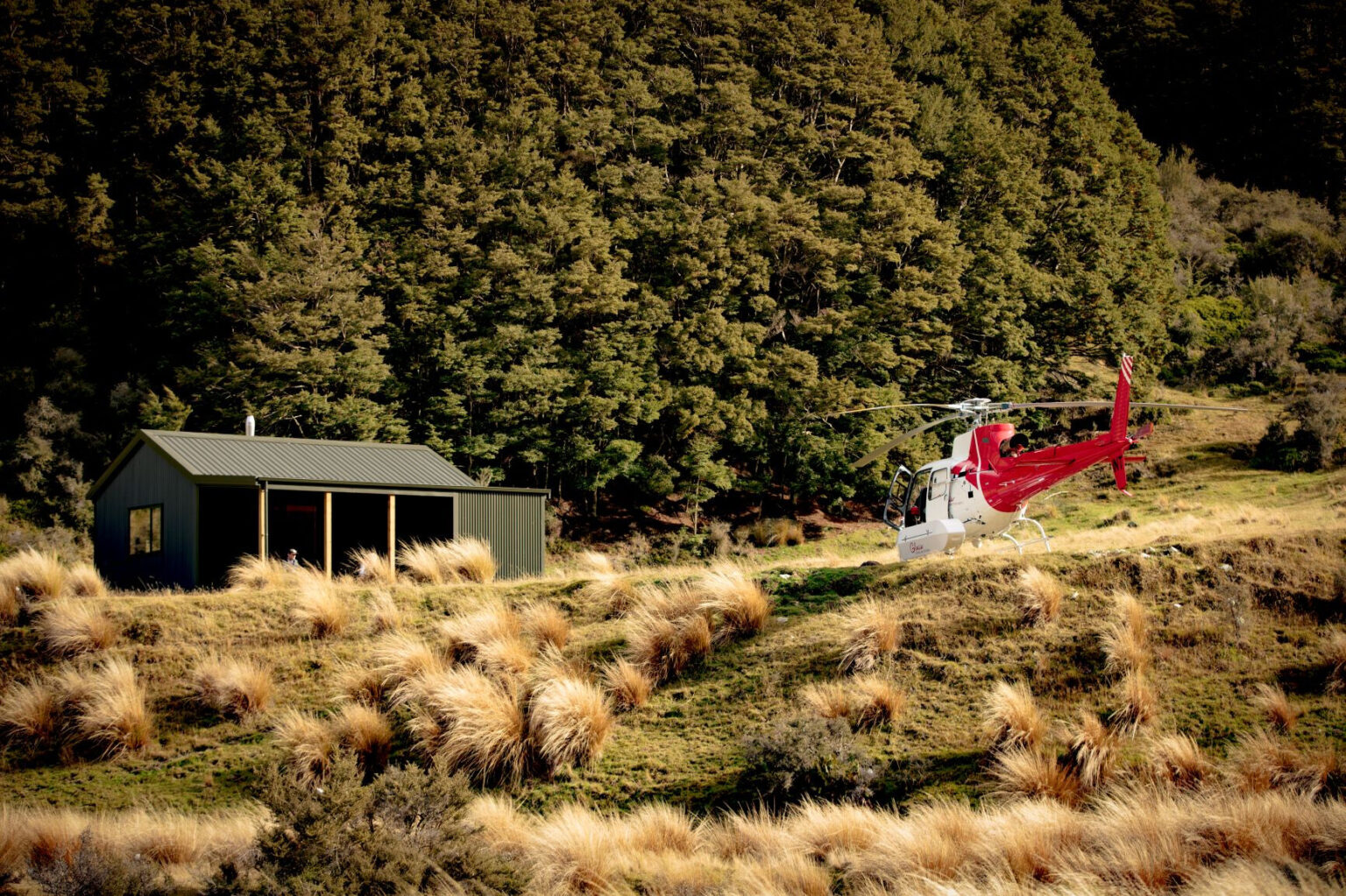Greenstone Hut - Glacier Southern Lakes Helicopters